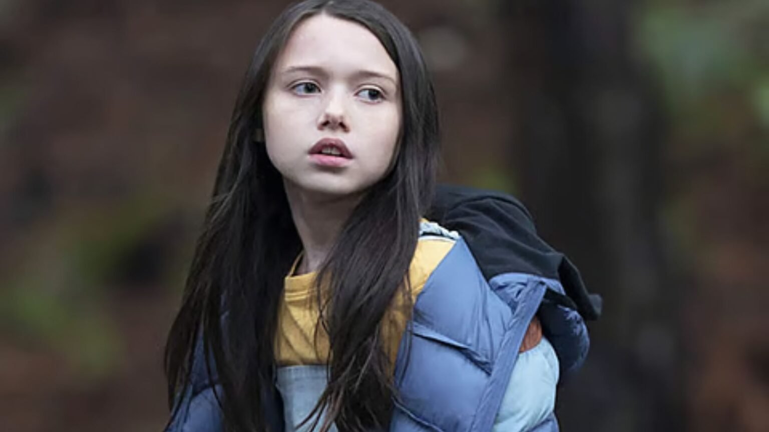 Violet McGraw Biography: Age, Movies, M3GAN Role & Career Facts